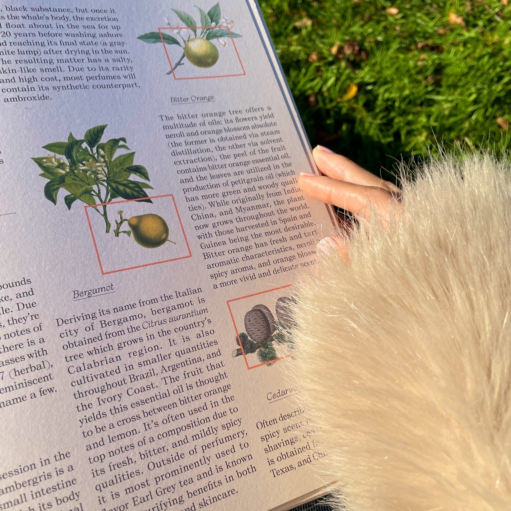 the essence : Book Review - LBJ